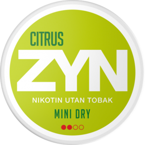 ZYNS Swedish nicotine pouches! | SWEDISHPRODUCTS!